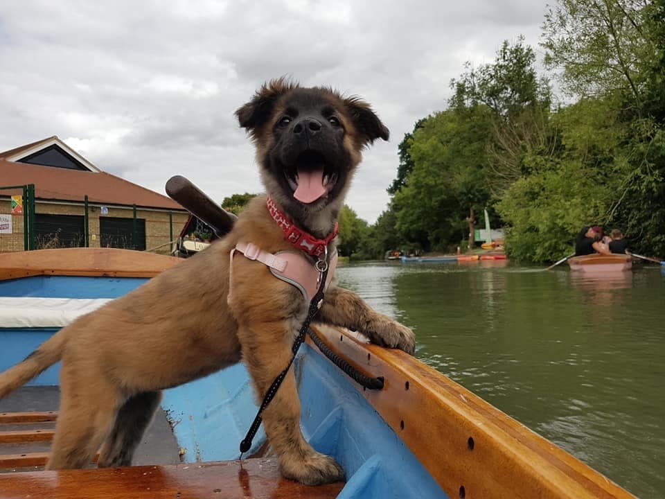 Rowboats - Galleon Marine Narrowboat Holidays & Day Hire